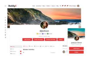 BuddyX Social Networking Theme for WordPress - Varun Dubey