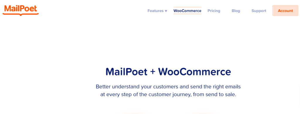 5 Best WooCommerce Email Customizer Plugins 2024